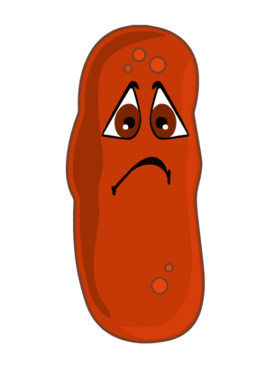 What your dog's poop can tell you about his health